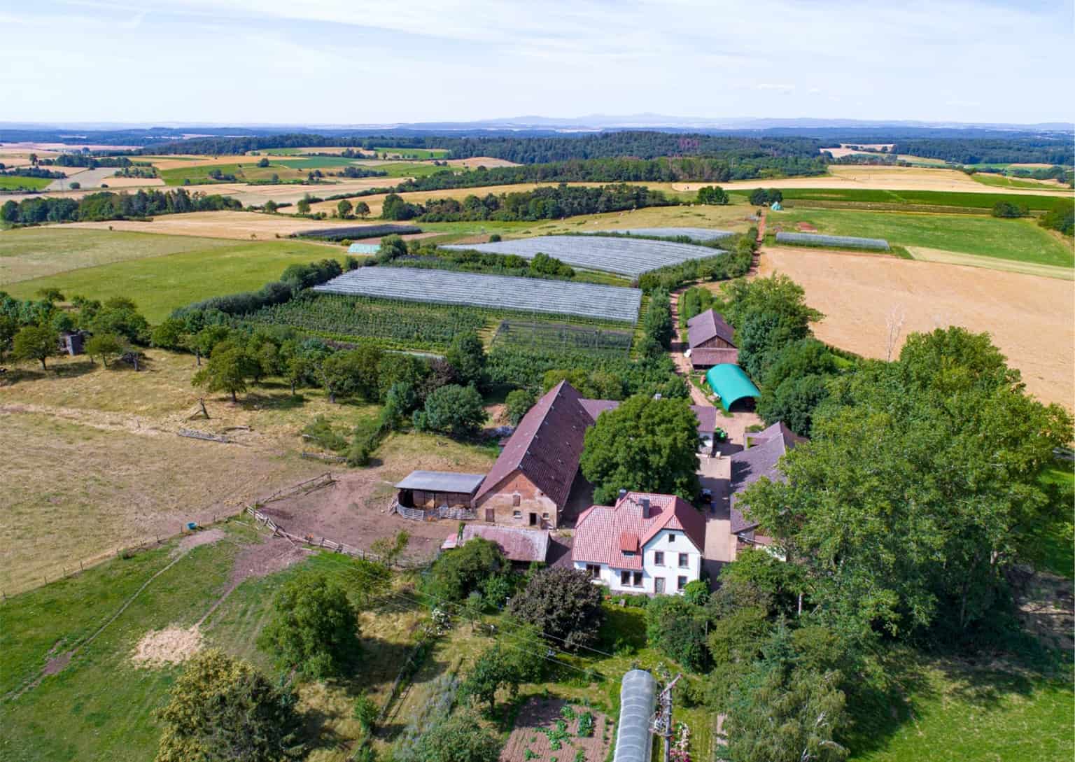 Kürassier - historische Apfelvielfalt – Vogelsberg ORIGINAL